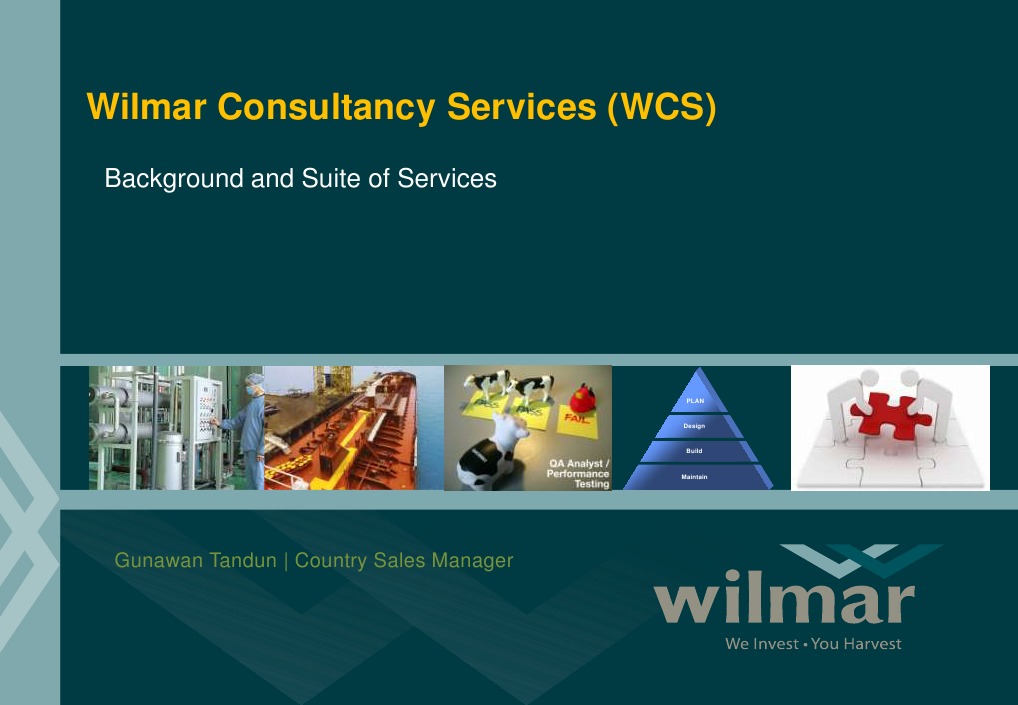 WCS Solution Overview Prospect - SPS | PDF | Inventory | Invoice