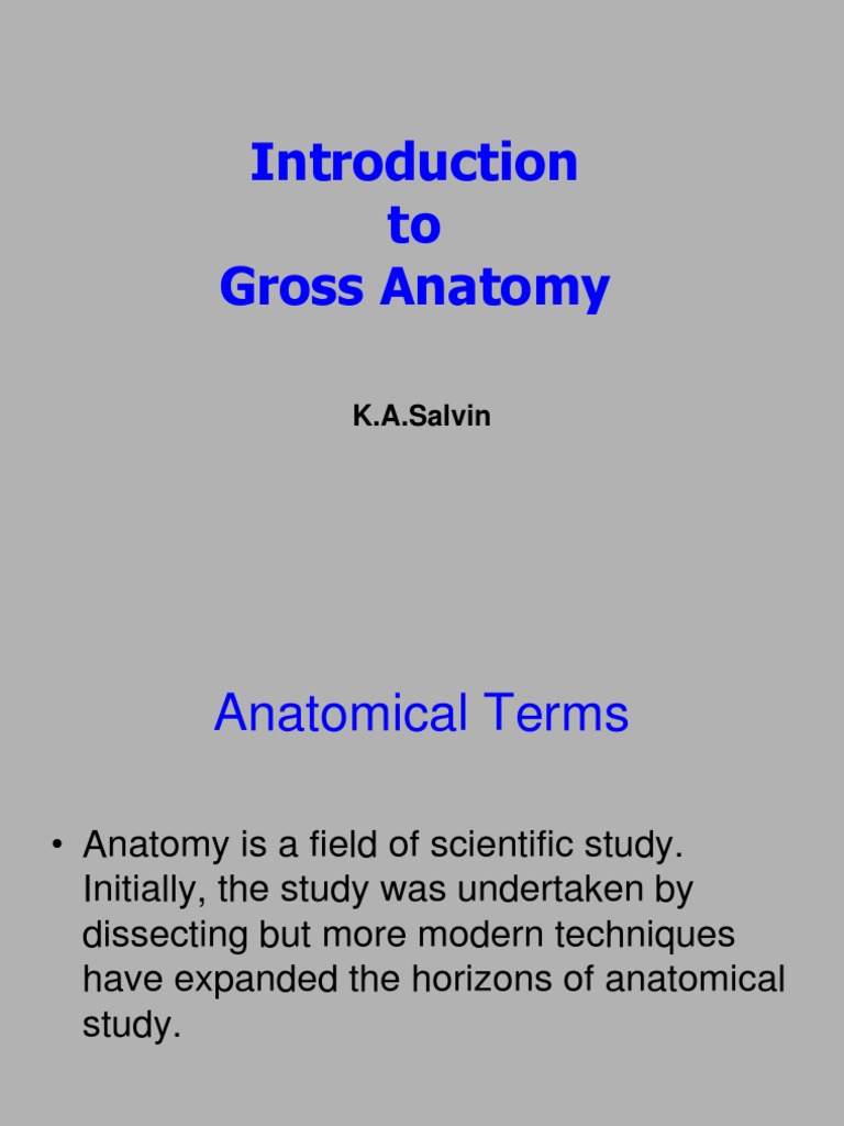 Understanding Gross Anatomy Terms | PDF