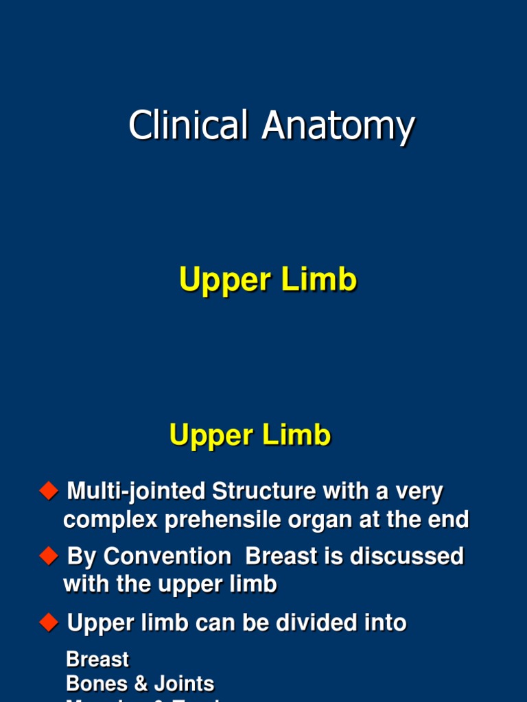 Clinical Anatomy of the Upper Limb | PDF | Elbow | Arm