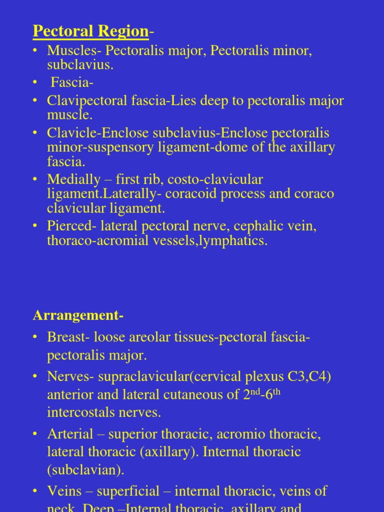 Upper Limb - Pectoral Region, Scapular Region, Axilla & Brachial Plexus ...
