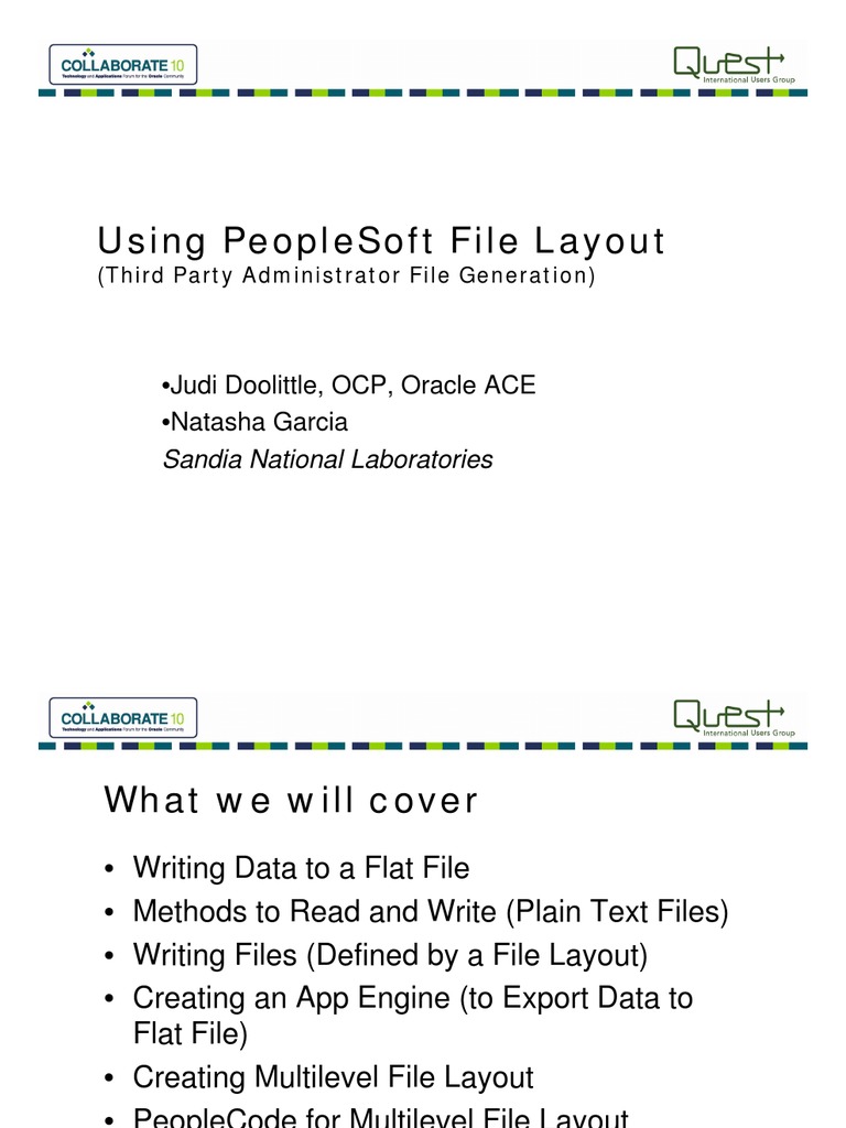Using Peoplesoft File Layout | PDF | Filename | Parameter (Computer ...