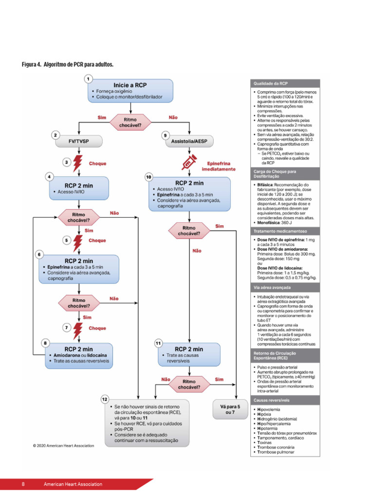 Protocolo Pcr Acls 2025 | PDF