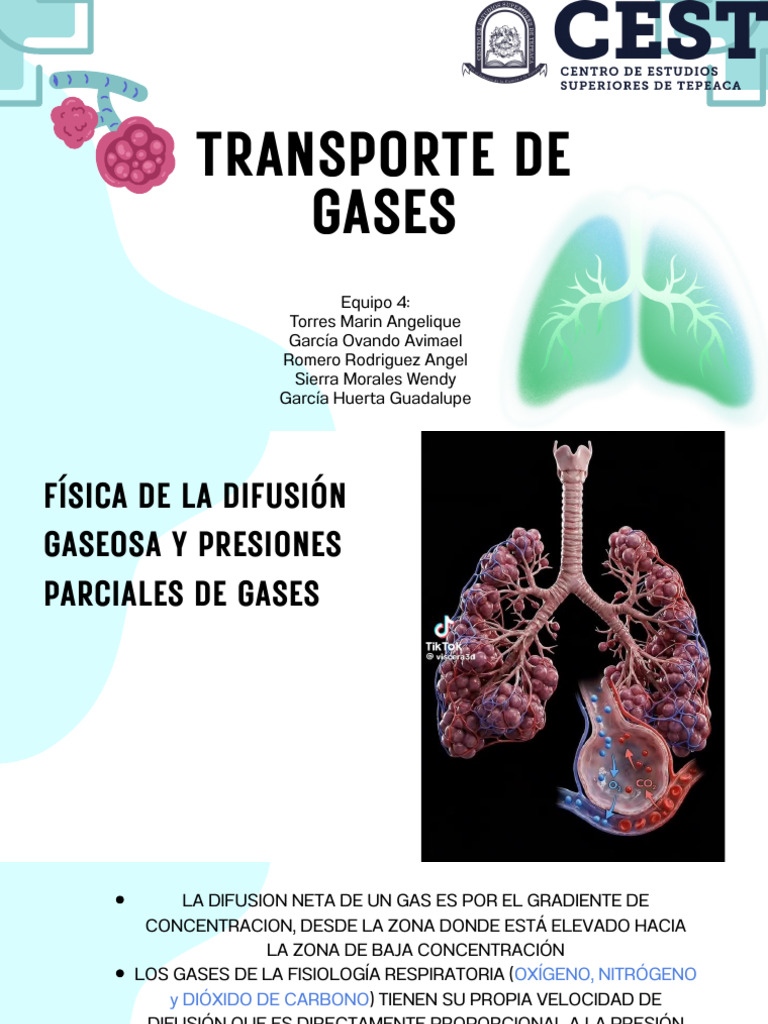 Blue and Green Illustration the Human Respiratory System Presentation ...