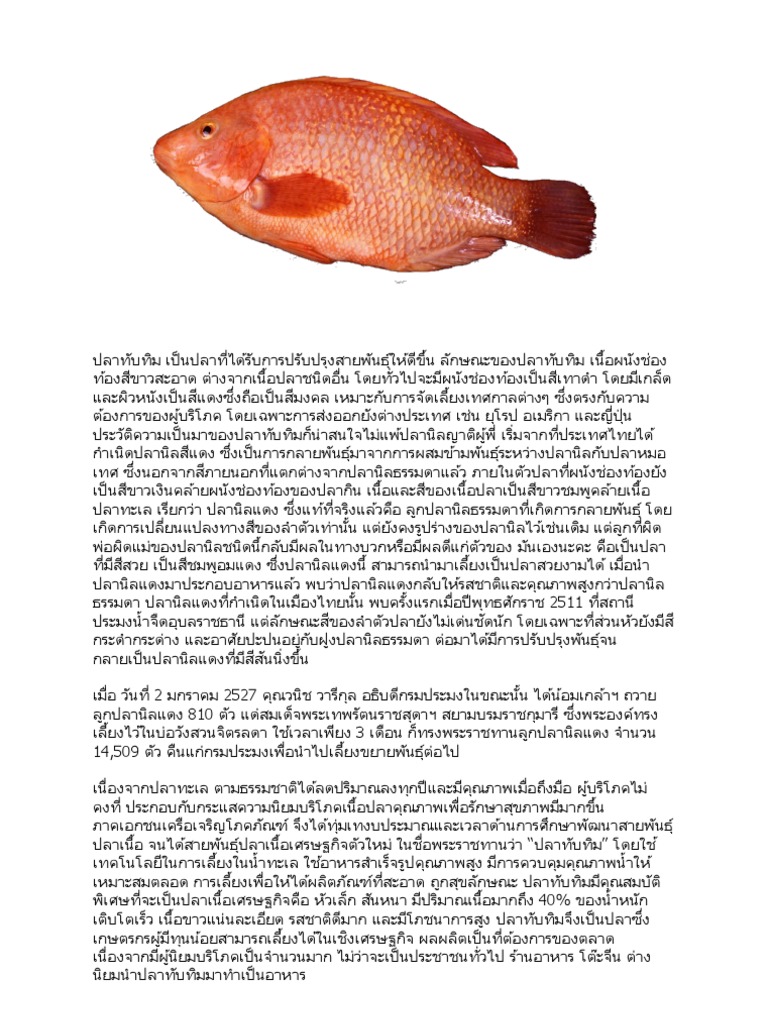 Tabtim Fish History in Thailand | PDF