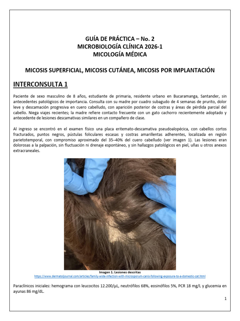 Interconsultas I 2026 1 | PDF | Microscopio | Paciente