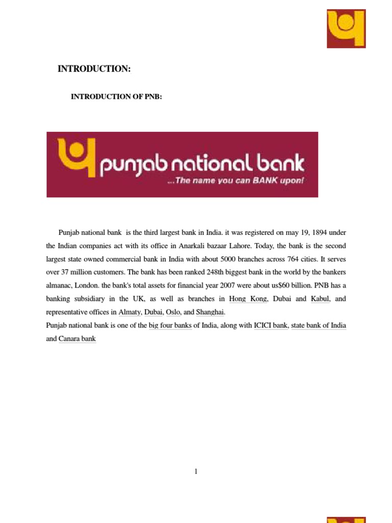 Introduction of Pnb,,,Improved File | PDF | Institutional Investors ...