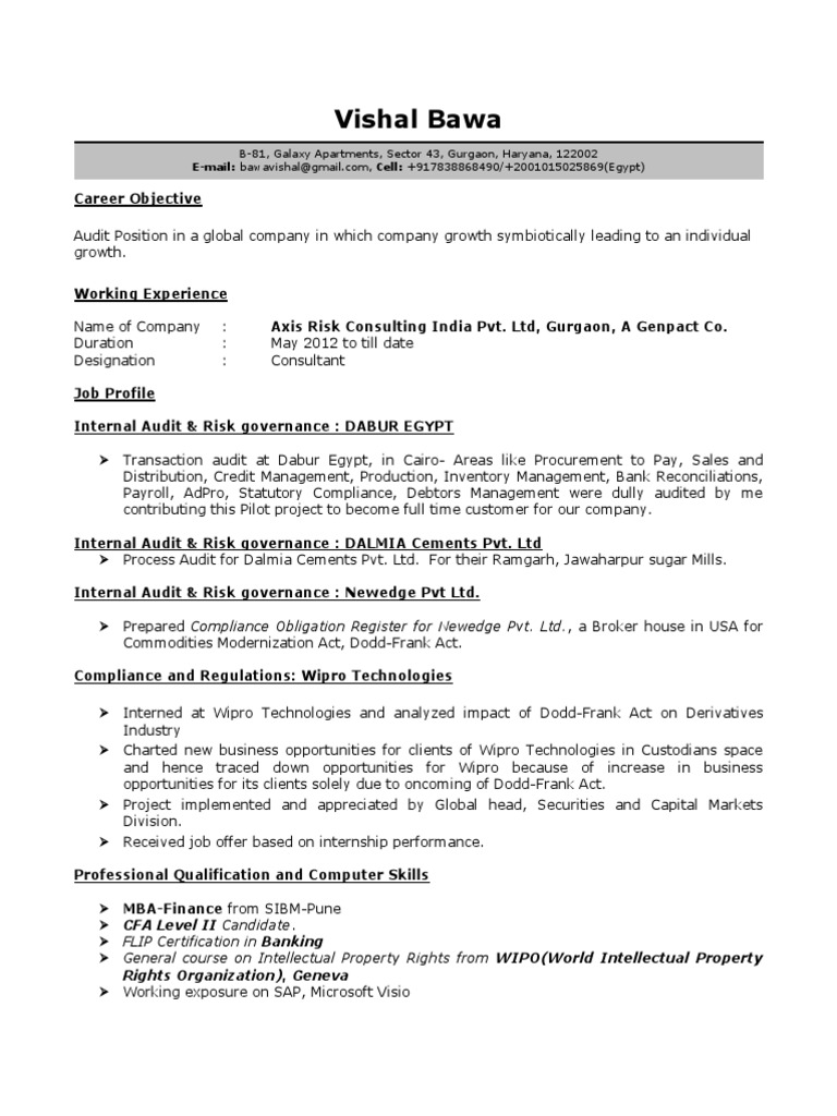 Vishal Bawa: Audit Consultant Profile | PDF | Career & Growth | Finance ...