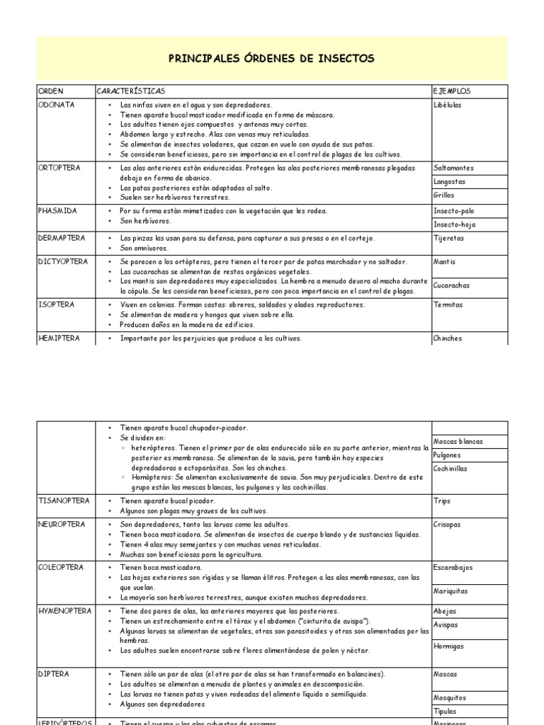 Principales órdenes de insectos | Insectos | Mosca