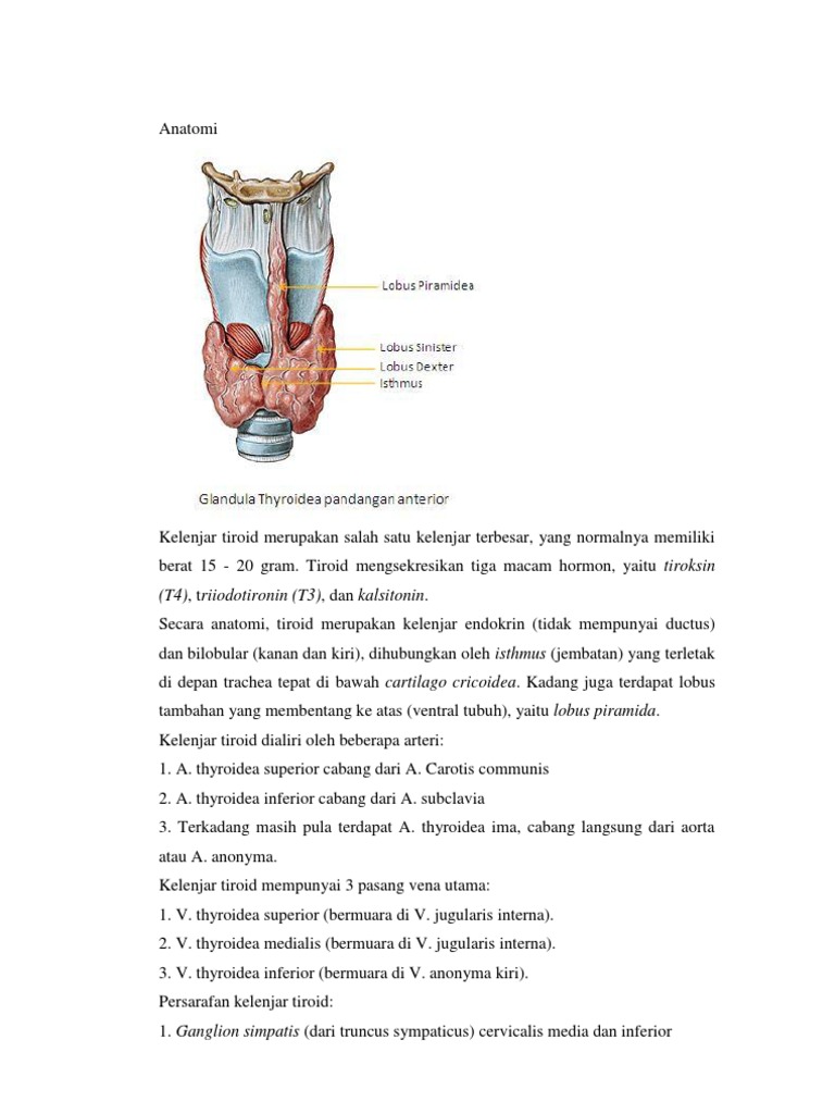 Anatomi Dan Fisiologi Tiroid | PDF