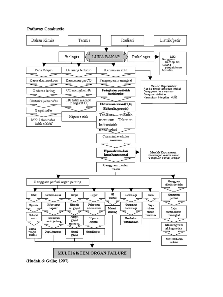 Pathway Combustio | PDF