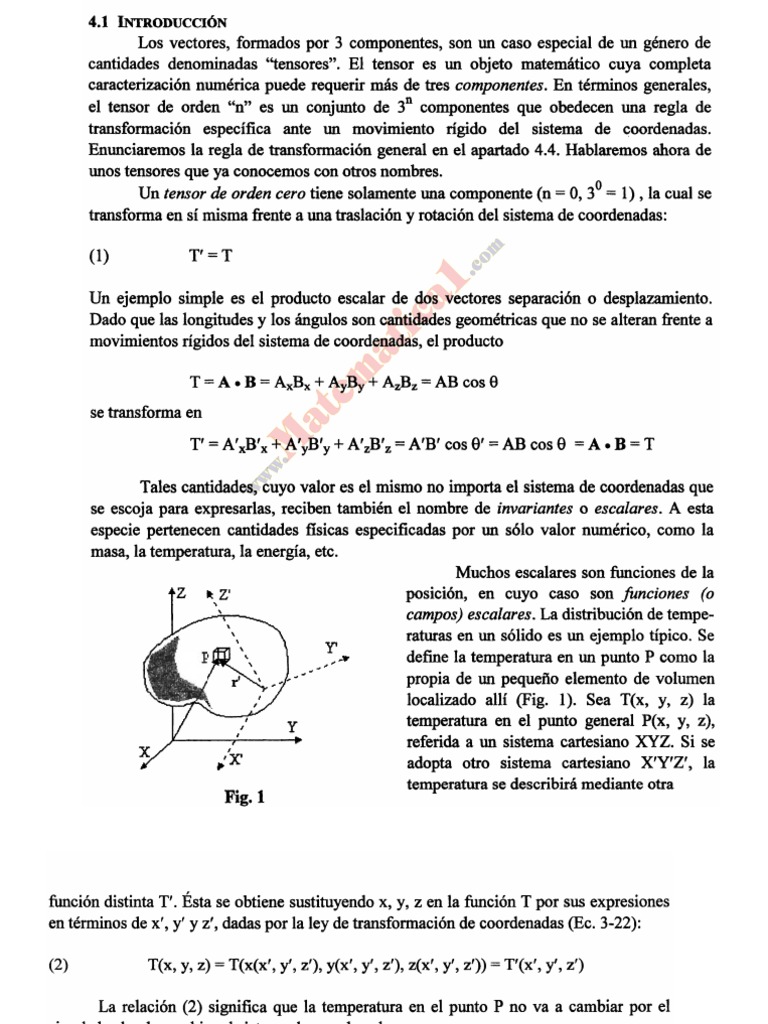 Tensores | PDF | Tensor | Vector Euclidiano