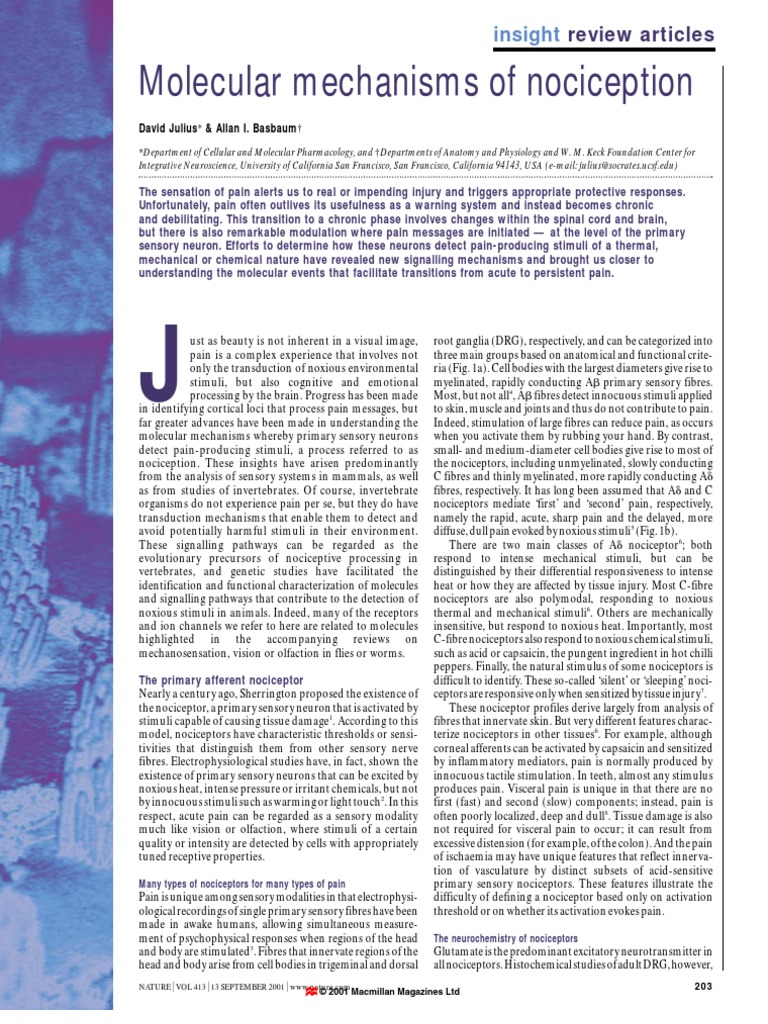 Molecular Mechanisms of Nociception | PDF | Stimulus (Physiology) | Pain