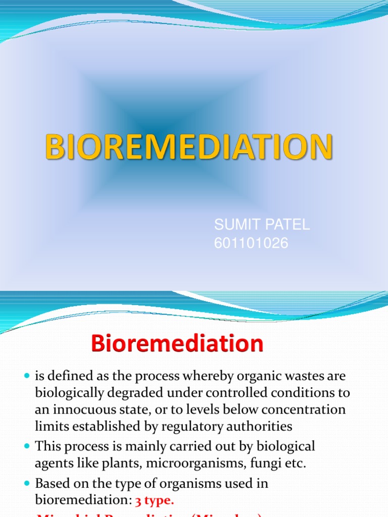 BIOREMEDIATION | PDF | Environmental Technology | Physical Sciences