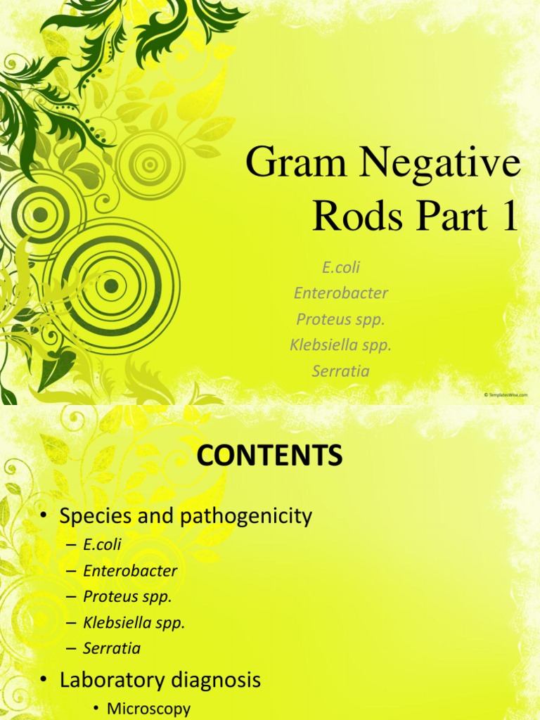 Gram Negative Rods Part 1 | PDF | Escherichia Coli | Gram Negative Bacteria