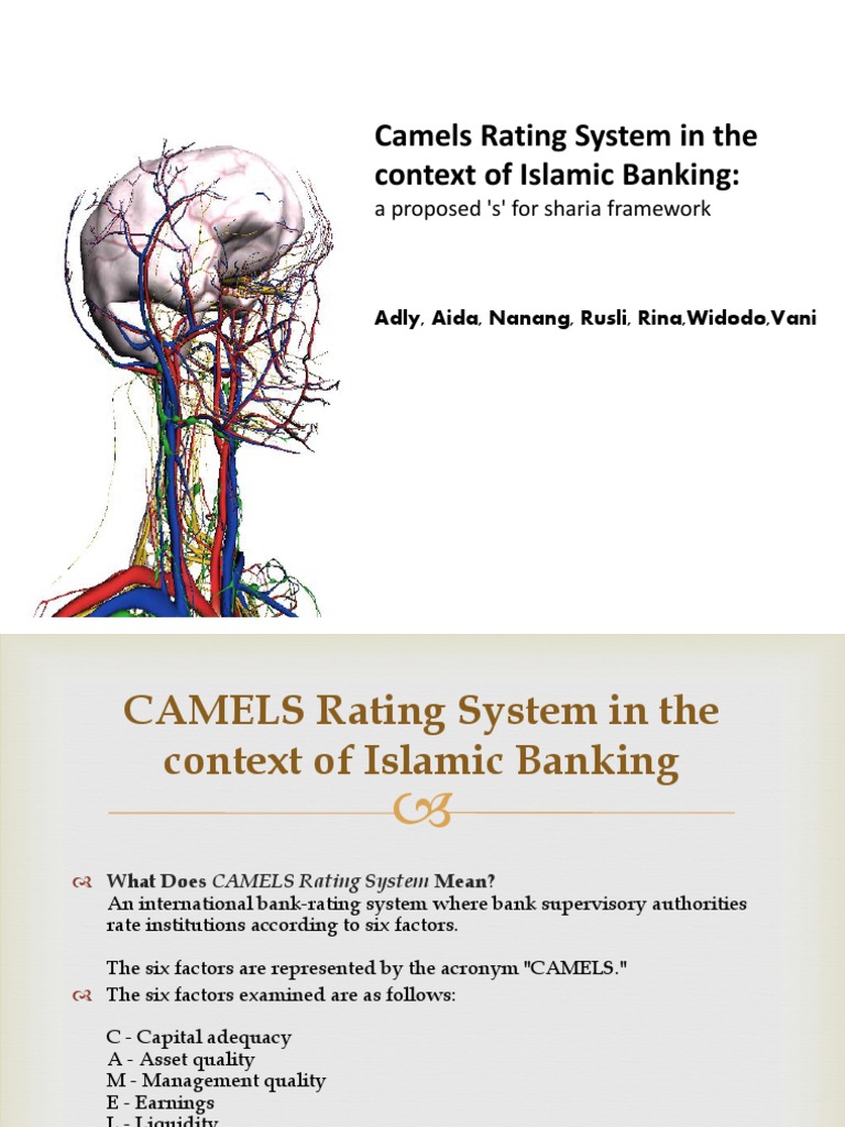 Camels Rating System in The Context of Islamic Banking | PDF | Islamic ...