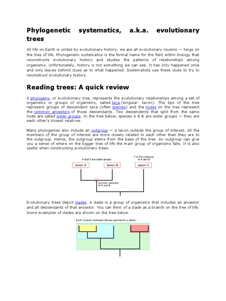 Phylogenetic Systematics | Download Free PDF | Phylogenetic Tree | Clade