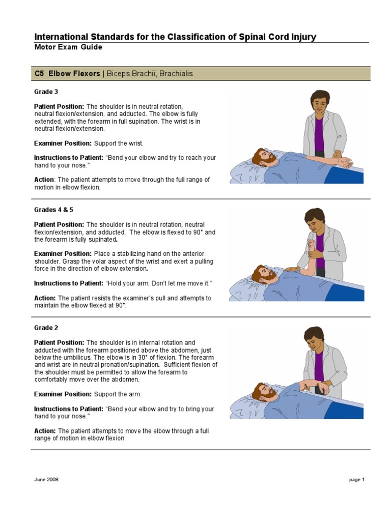 Motor Exam Guide | PDF
