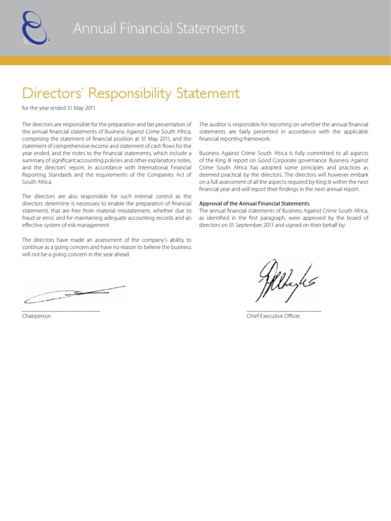 Directors' Responsibility Statement: Annual Financial Statements | PDF ...