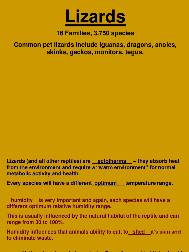 Lizards For Angel | PDF | Lizard | Ultraviolet