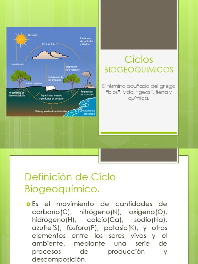 Ciclos BIOGEOQUIMICOS