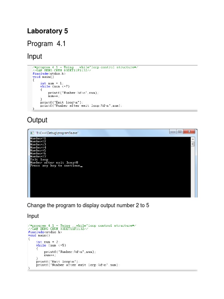 Laboratory Report on Programming Loops and Repetition Structures | PDF ...