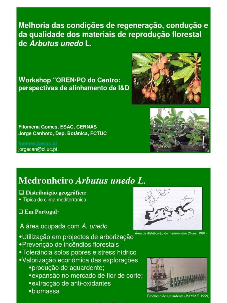 Filomena Gomes Medronho - Nov07 | PDF | Reprodução | Plantas