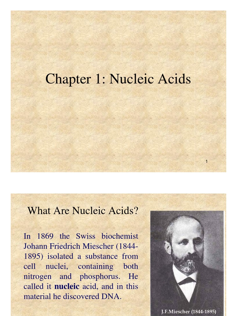 Chapter 1: Nucleic Acids | PDF | Nucleotides | Dna
