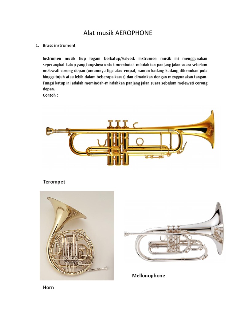 Alat Musik Aerophone | PDF