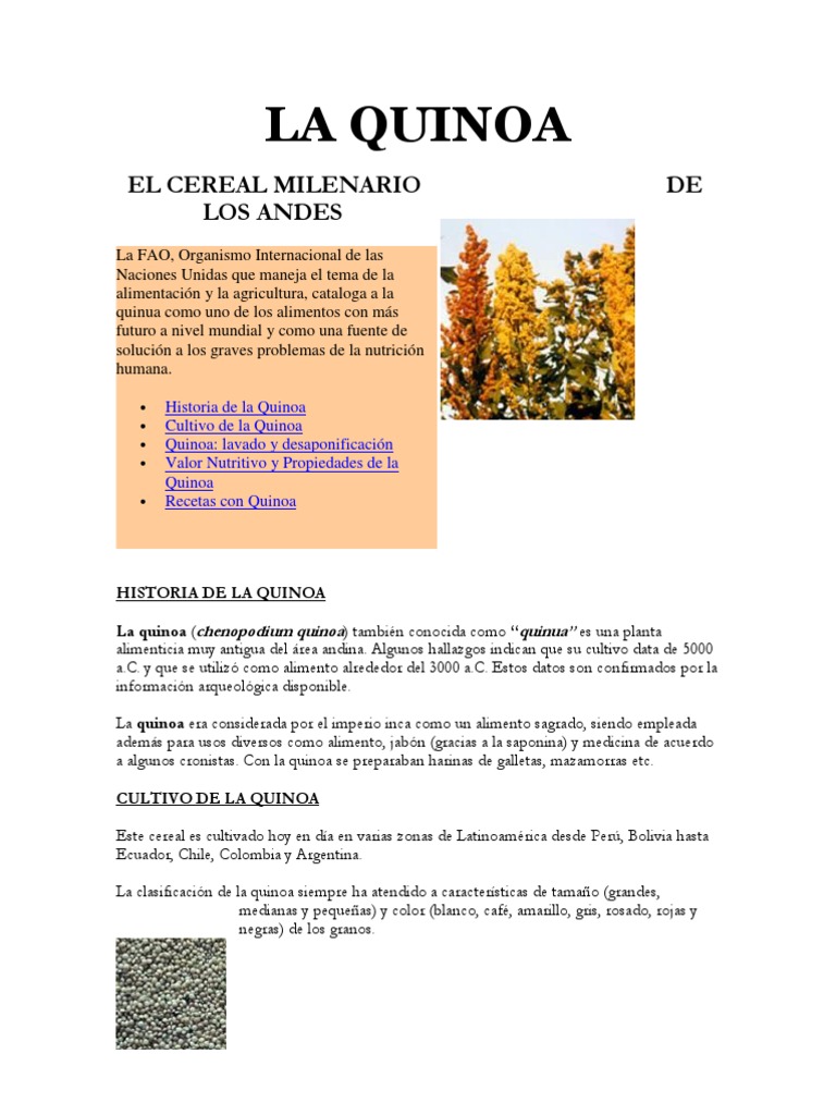 Historia y Cultivo de la Quinua | PDF | Quinua | Cereales