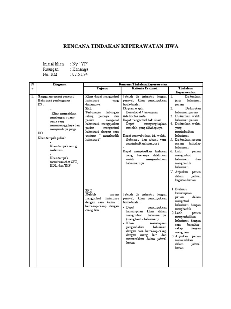 Rencana Tindakan Keperawatan Jiwa | PDF