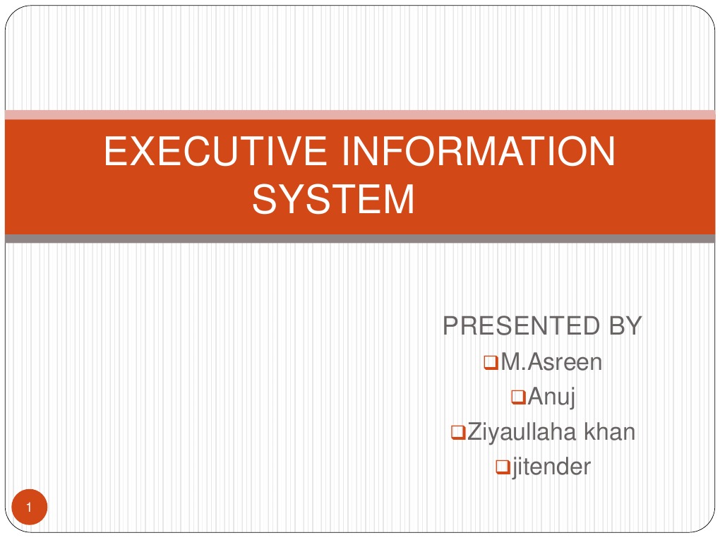 Executive Information System Overview | PDF