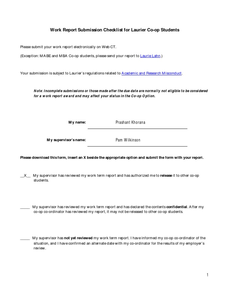 Work Report | PDF | Spreadsheet | Marketing