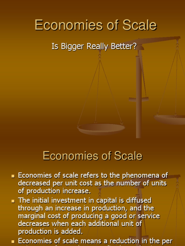 Economies of Scale | PDF | Economies Of Scale | Labour Economics