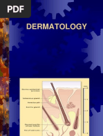 Comprehensive Dermatology Guide | PDF | Dermatitis | Integumentary System