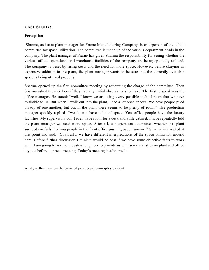 CASE STUDY Perception | PDF