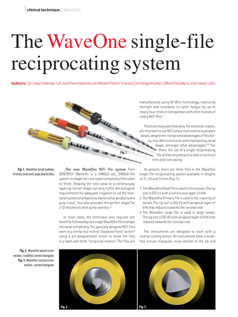 An Overview of the WaveOne Single-File Reciprocating System: File ...
