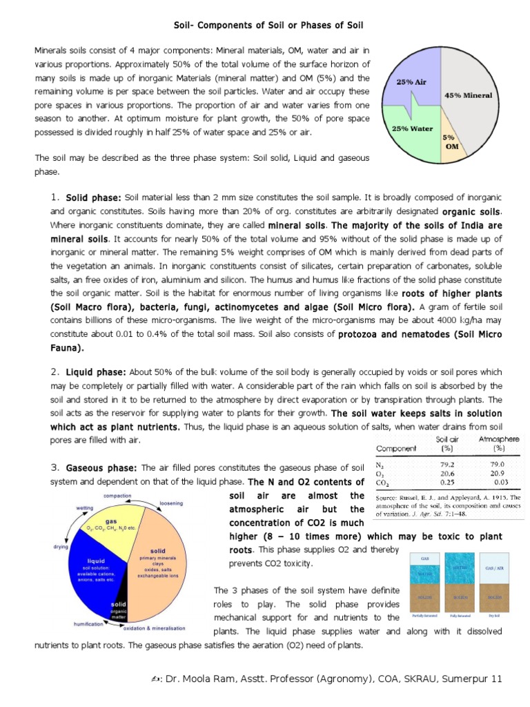 Understanding Soil Profile Components | PDF | Sustainable Building | Soil