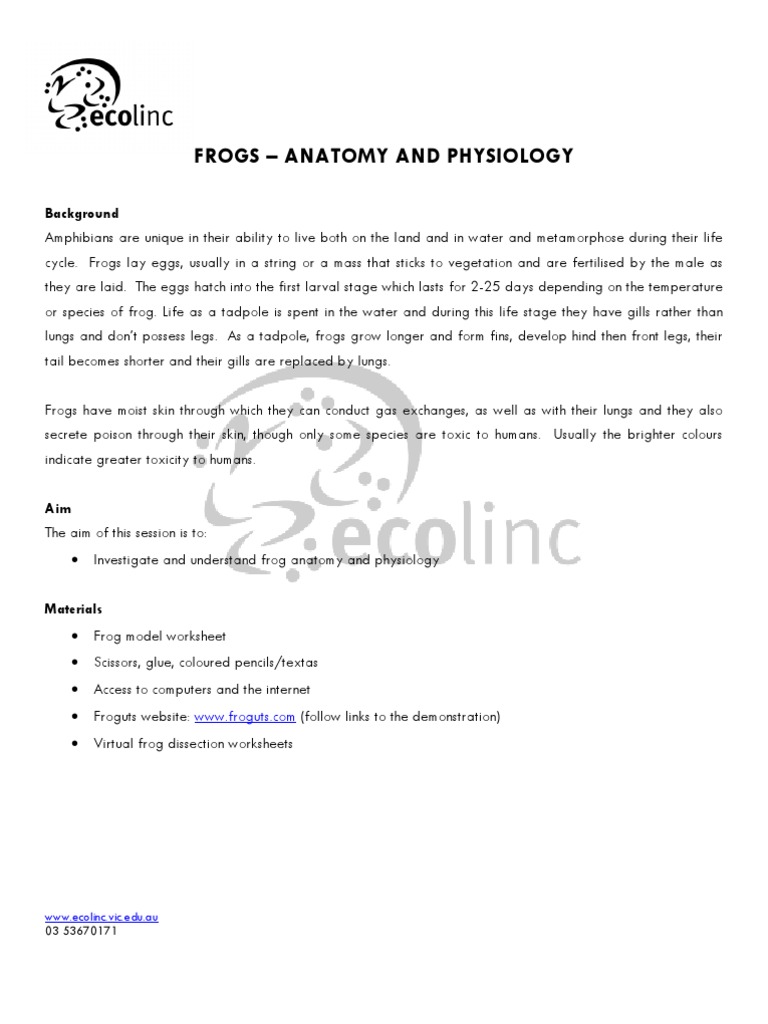 Lesson 1 Frogs Anatomy and Physiology | PDF | Frog | Amphibian