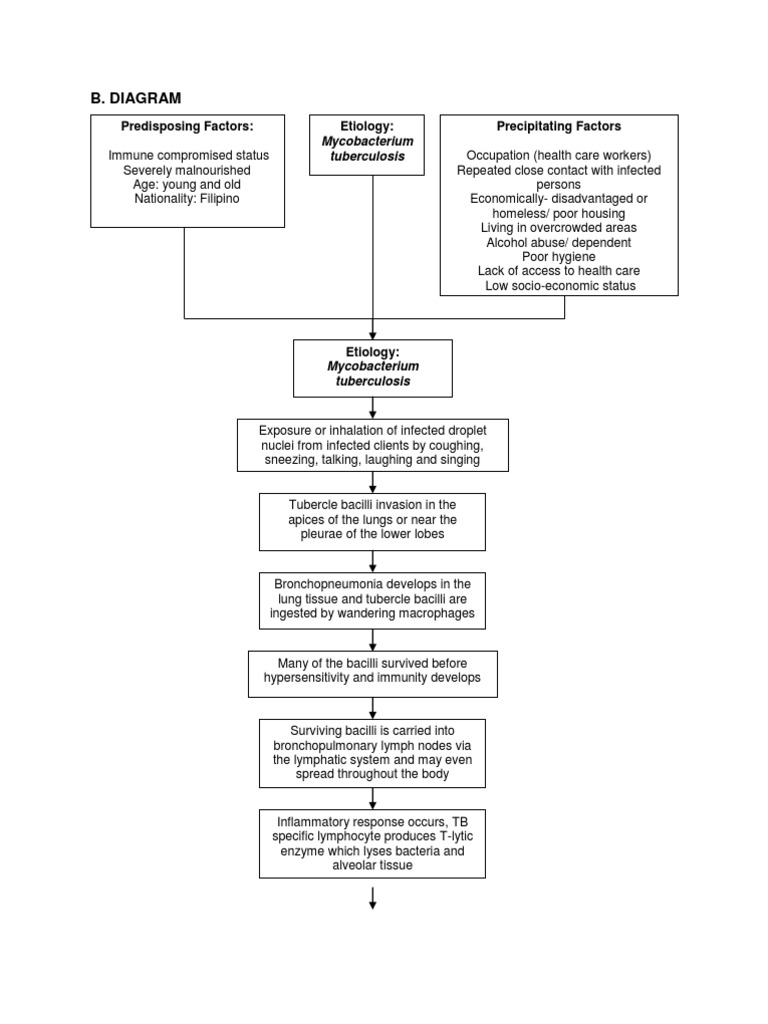 Pathophysiology of Pulmonary Tuberculosis | PDF | Tuberculosis | Lung