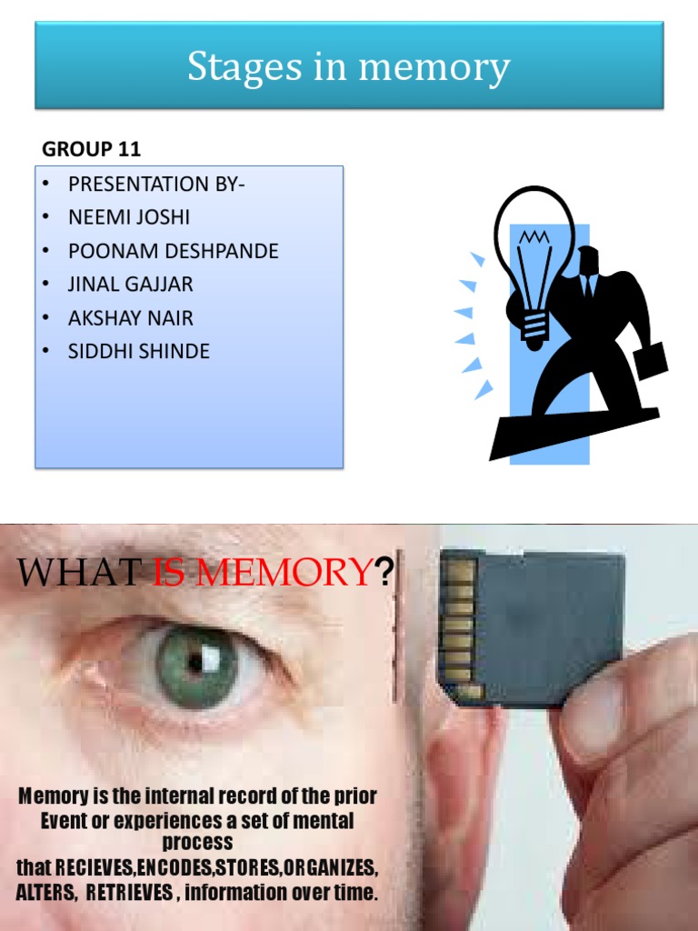 Stages in Memory | PDF | Recall (Memory) | Memory