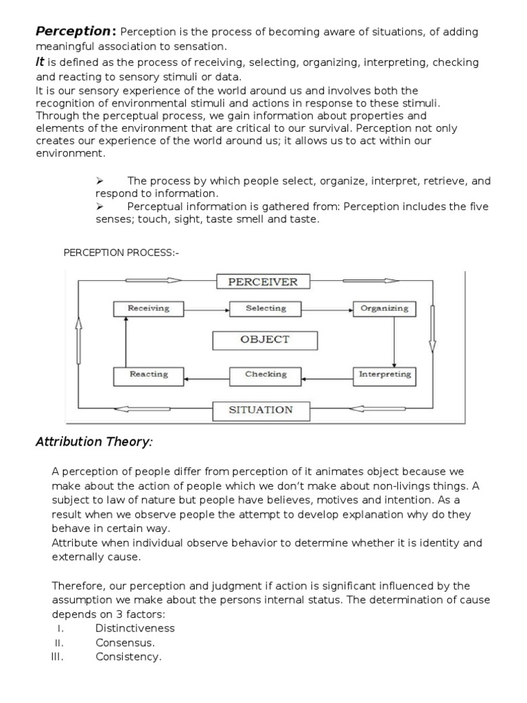 Perception Notes | PDF | Perception | Epistemology