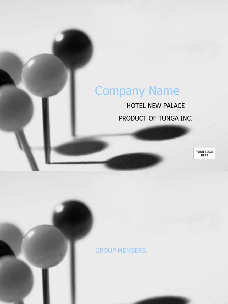 Company Name: Hotel New Palace Product of Tunga Inc | PDF | Restaurants ...