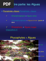 Cours 2-La Paroi Pectocellulosique PDF | PDF | Paroi cellulaire | Lignine