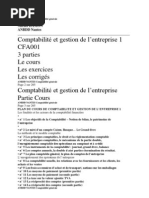 Lexique Termes Comptables | PDF | Comptabilité | Capitaux propres