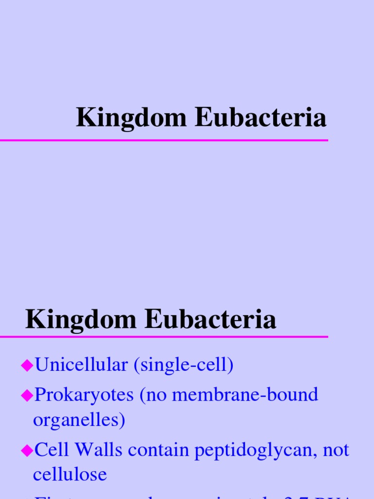 Kingdom Eubacteria | PDF | Bacillus | Bacteria