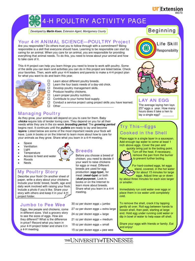 TN 4H Poultry Activity Sheet | PDF | Chicken | Poultry