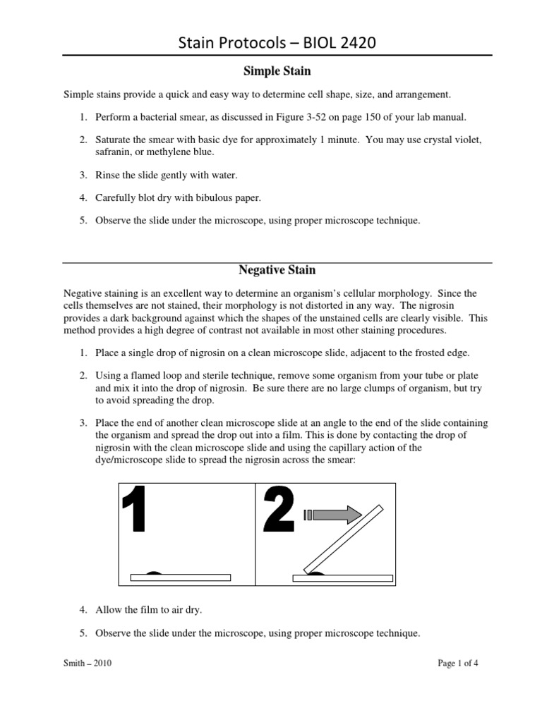 Stain Protocols | PDF | Staining | Immunohistochemistry