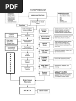 Pathophysiology of Cva-Hpnii-Hemorrhagic Stroke | PDF | Stroke | Neurology