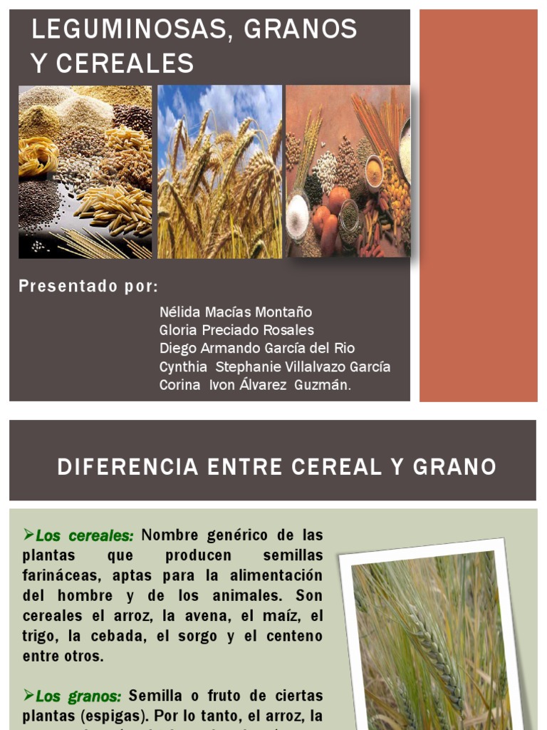 Cereales y Leguminosas | PDF | Cereales | Legumbre