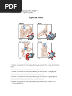 Skeletal System Exam Questions | PDF | Skeleton | Bone